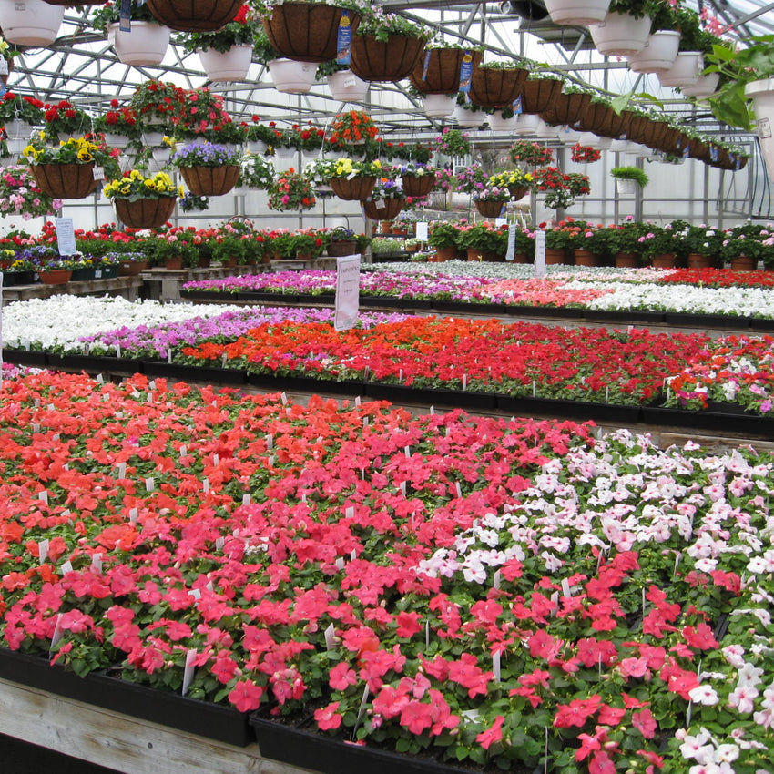 Departments – Volante Farms